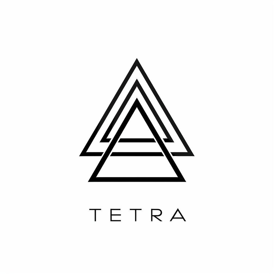 Tetra Handpan BLUE D Kurd 12 / 10 notes 440/432 Hz 22' Stainless Steel ...