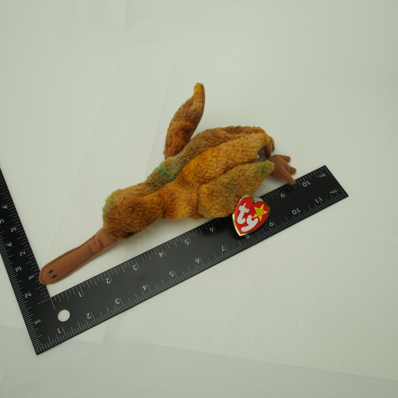 Ty Original Beanie Baby Beak the Kiwi Bird DOB February 3, 1998 Retired ...