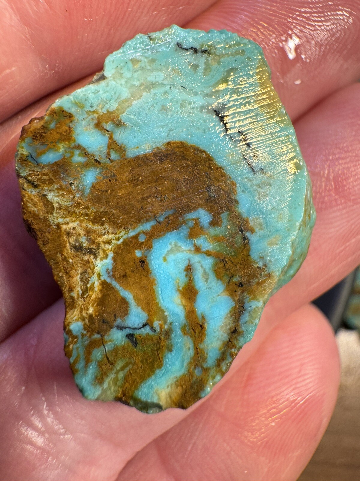 Turquoise Mountain Turquoise. 61 Grams Of slabs! Get What You See ...
