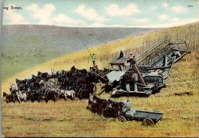 Postcard Vintage Farming/Threshing Scene, Horse Drawn - "TRIMMED ...