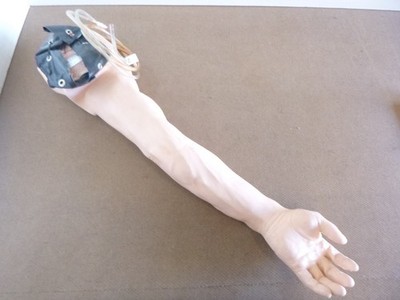 Nasco Life/Form IV Injection Training Arm | eBay