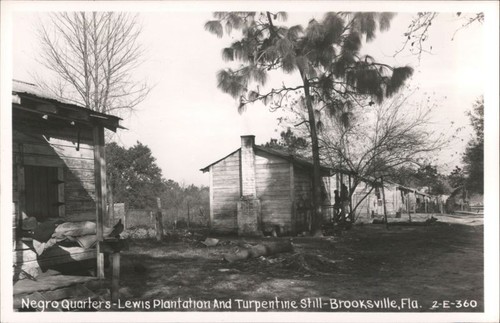 RPPC Lewis Plantation Negro Quarters and Turpentine Still-Brooksville ...
