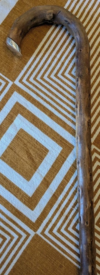 Antique Knobby Wood Shaft Pure Silver Tip Crook Handle Walking Stick ...