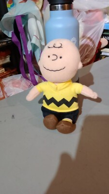 TY Charlie Brown Stuffed Plush Toy Peanuts Doll 9" | eBay