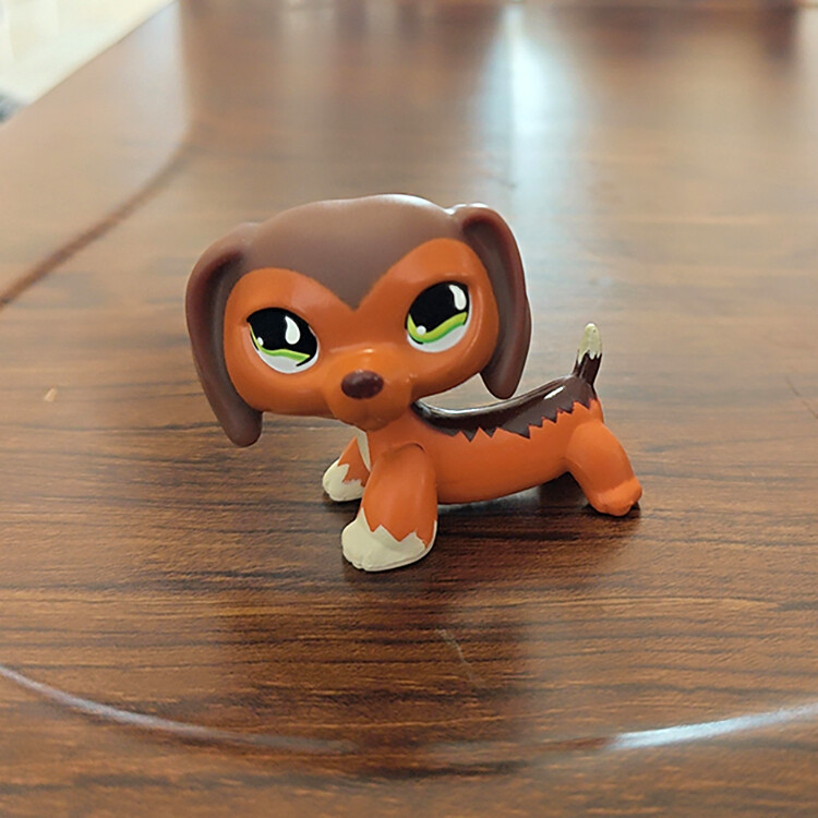 Littlest Pet Shop LPS POPULAR Brown Dachshund Savvy Reed #675 With ...