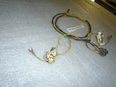 INSTRUMENT PANEL LAMP ON BUZZER HARNESS SECTION 69 CHARGER ROAD RUNNER ...