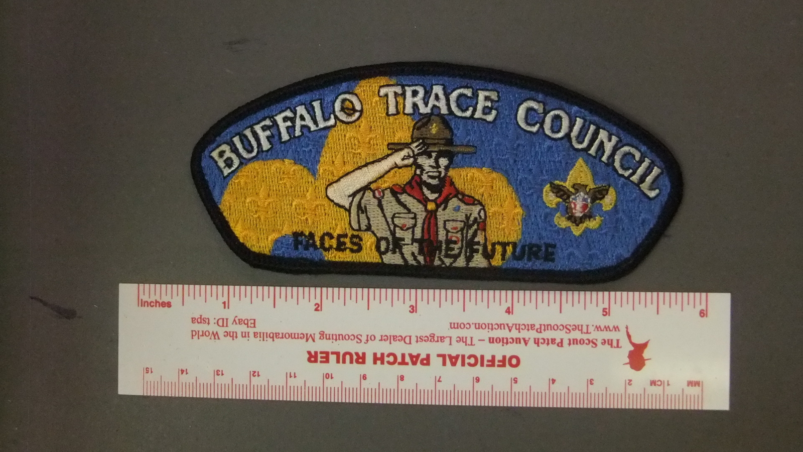 Boy Scout Buffalo Trace Council CSP SAP 6776II | eBay