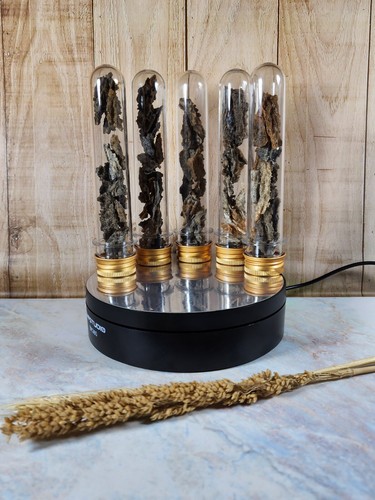 lightning glass fulgurite.lightning glass fulgurite.lightning glass ...