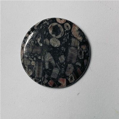 Crinoid Fossil Stone Natural crinoid Cabochon Loose Gemstone 31 Ct. ME ...