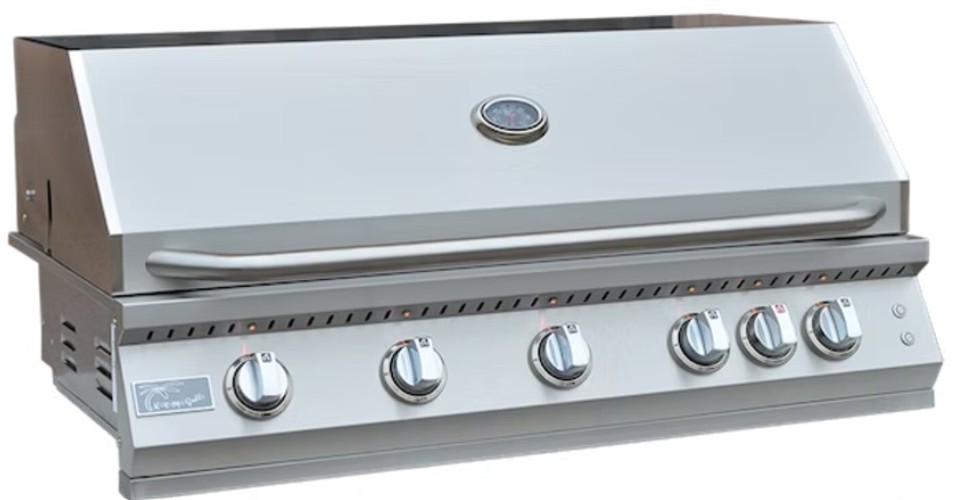 40" 5-Burner Professional Built-in Gas Grill (5 Burner/Back Burner) | eBay