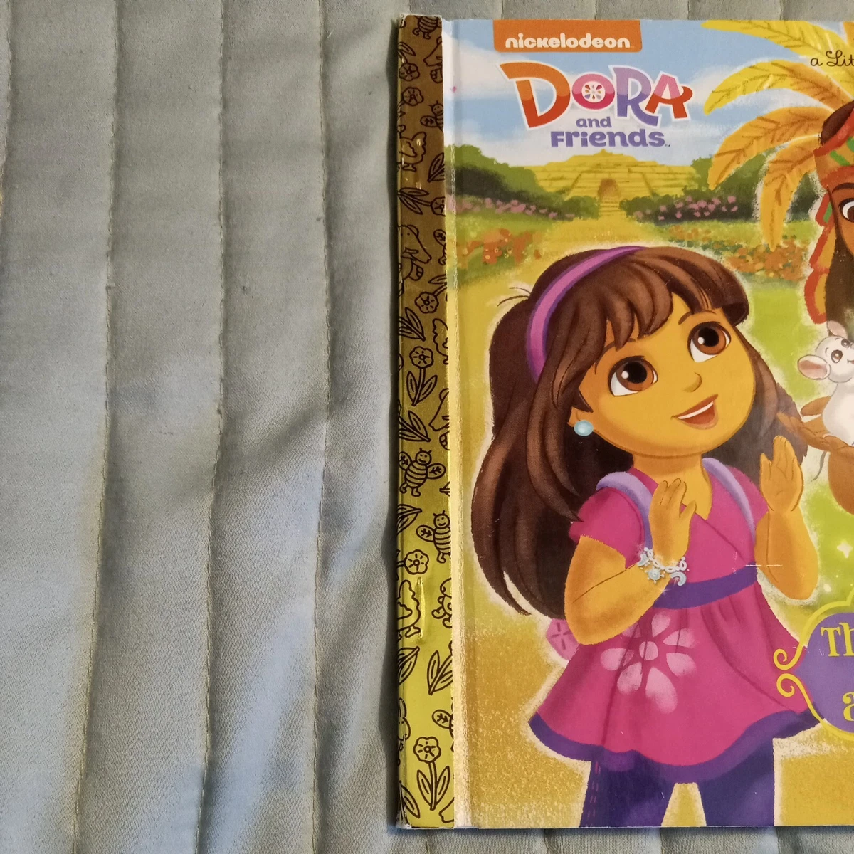 Dora And Friends Into The City Books