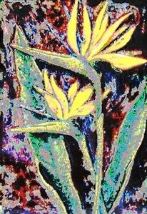 MondayTuesdayShip | eBay Stores