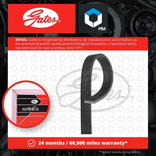 8 Rib Multi V Drive Belt 8DPK1410 Gates C2D39175 DX238620BA C2P12816 ...