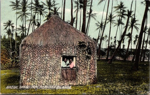 Hawaii Native Grass Hut With Natives, Hawaiian Islands Vintage Postcard ...