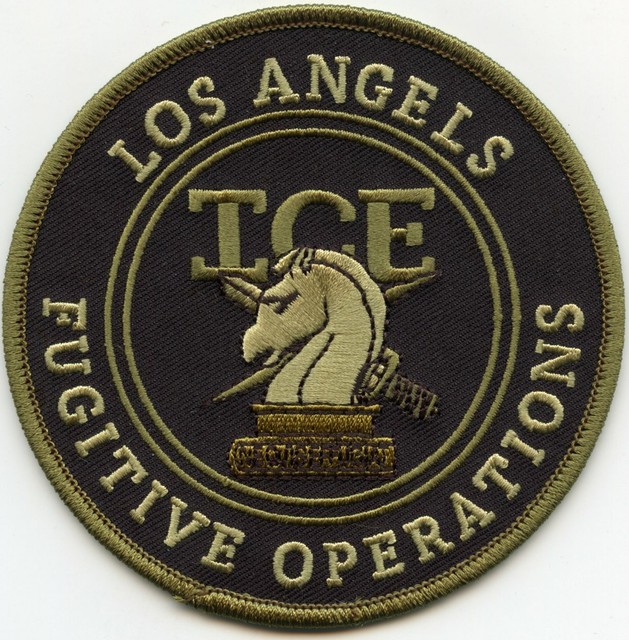 LOS ANGELS CALIFORNIA ICE FUGITIVE OPERATIONS subdued green ERROR ...