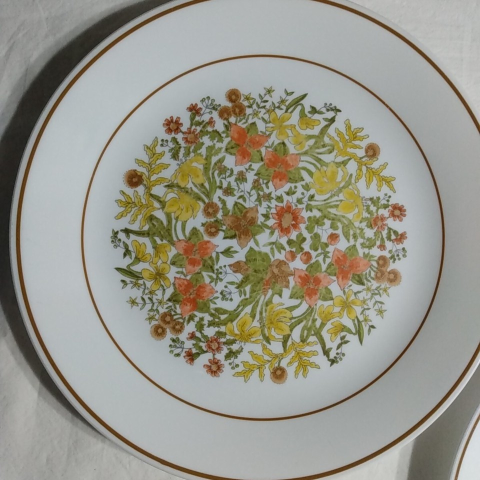 Corelle Indian Summer 8 Dinner Plate 10 inch Orange Yellow Brown Floral ...