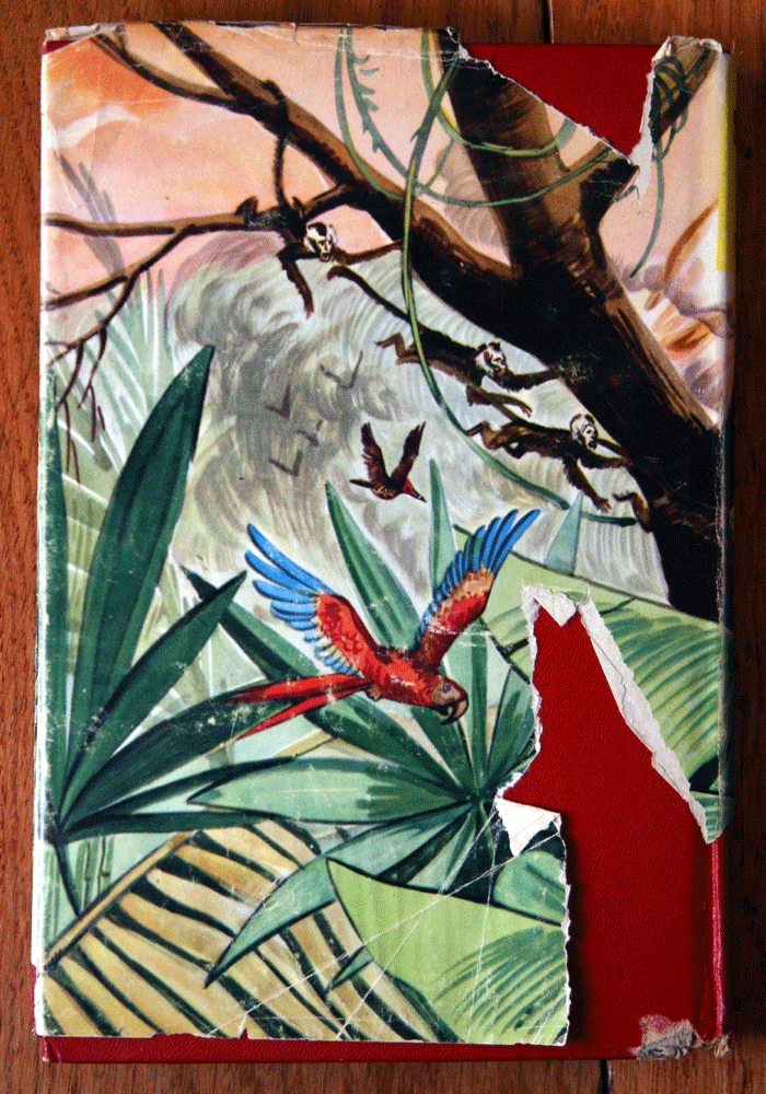 TOM STETSON on the Trail of the Lost Tribe 1948 HC/DJ John Henry Cutler ...