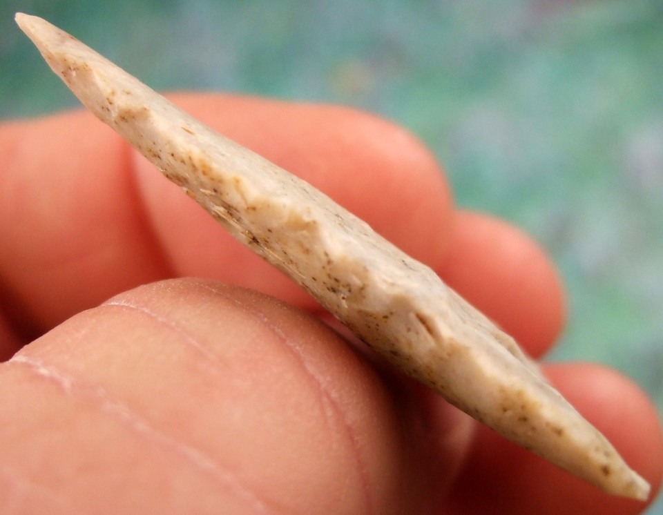 Super Fine Colorful G10 Georgia Coastal Flint Pine Tree Point wt COA ...