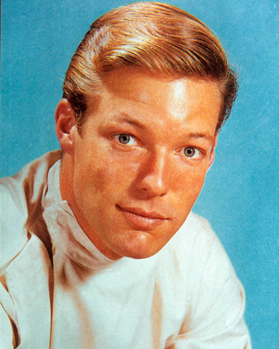 Richard Chamberlain Dr. Kildare [1036237] 8x10 photo other sizes inc ...