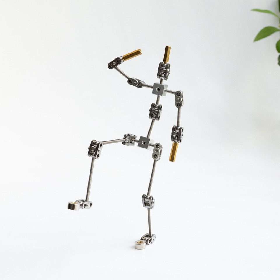 DIY Stainless Steel Human ARMATURE KIT for Studio Stop-Motion Animation ...