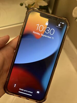 iPhone 12 Pro 128gb unlocked new. Brand new unused iPhone from ...