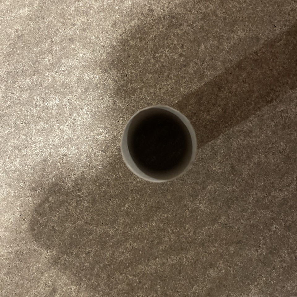 Box Of Cardboard Toilet Roll Tubes - Crafting, Seeds, Gardening ...