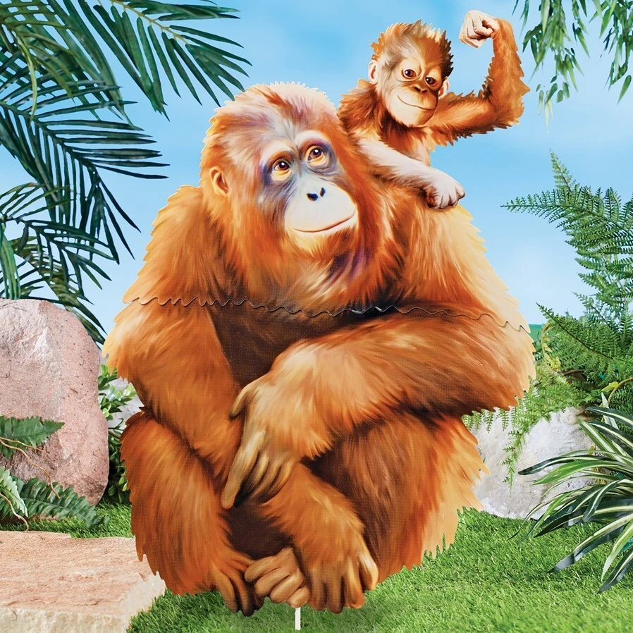 Baby Orangutan Cartoon