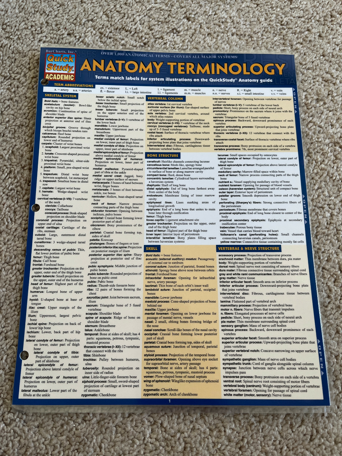 *YOU CHOOSE* Bar Charts Quick Study Laminated Guides, Physics Anatomy ...