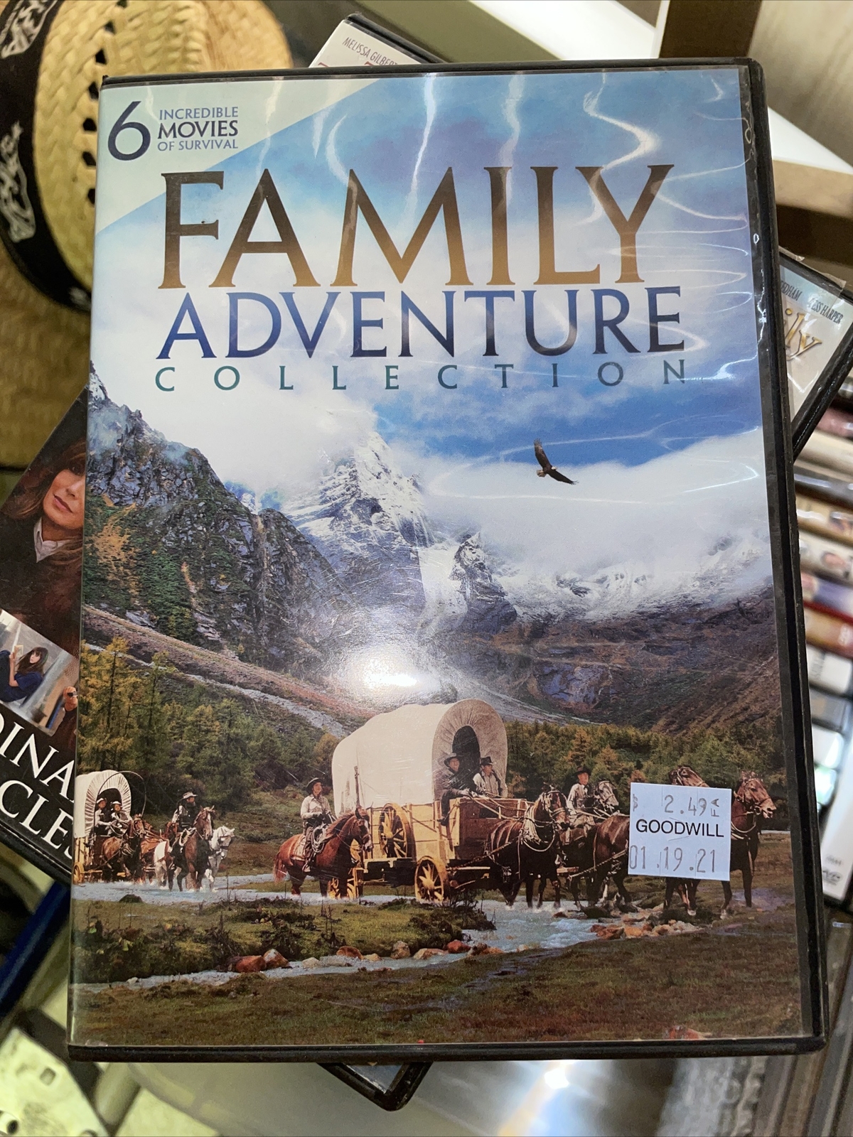 Family Adventure Collection: 6 Incredible Movies of Survival (DVD, 2017 ...