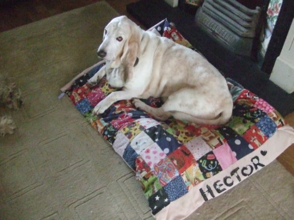 Handmade Personalised Patchwork Dog bed quilt liner ideal for sofa car ...
