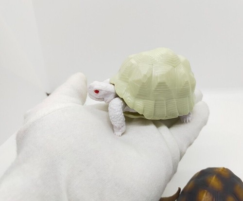 Bandai Gashapon Turtle Tortoise Figure Realistic 3 to 4 inch Direct ...