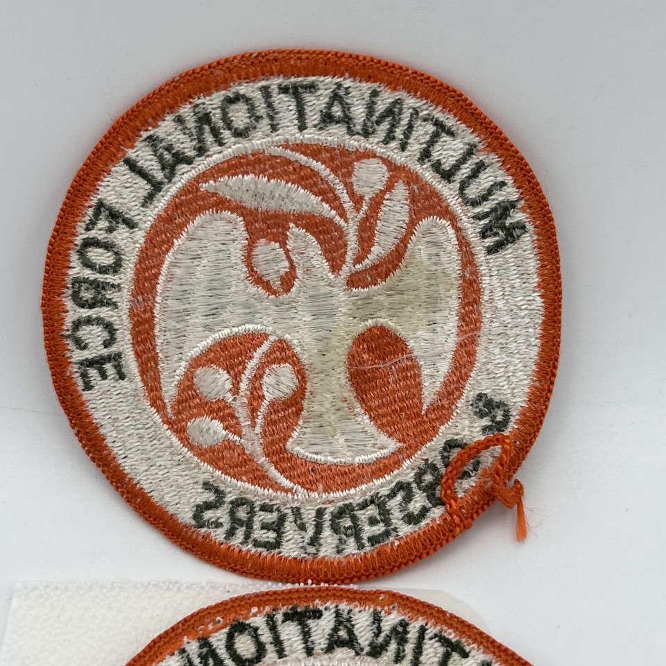 2-Two Multinational Force and Observers Shoulder Sleeve Insignia ...