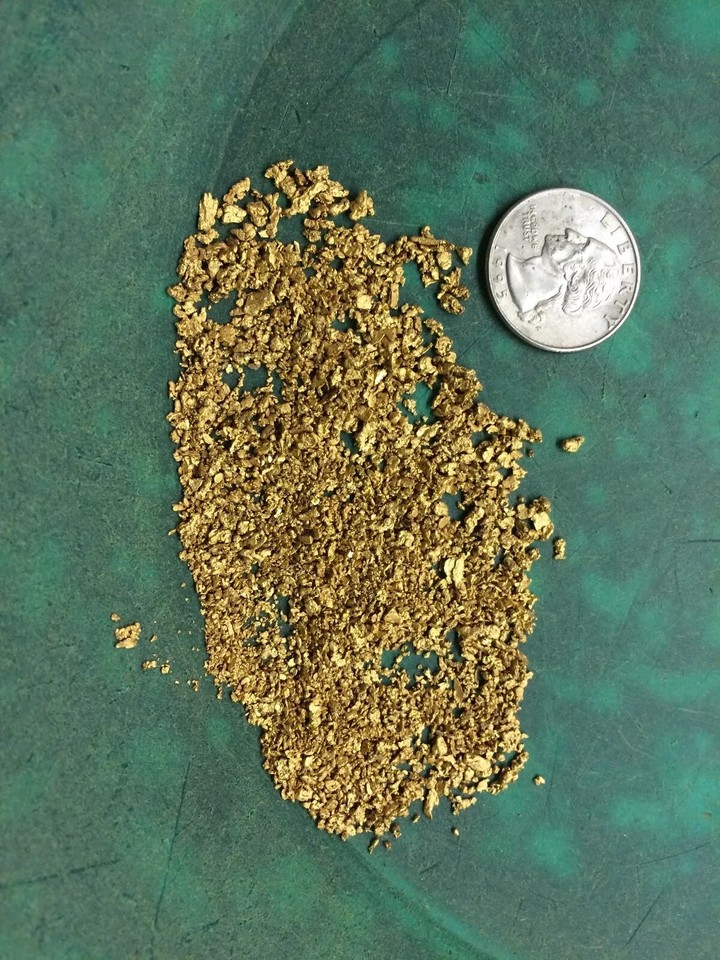 12 oz GOLD PAYDIRT unsearched and added gold panning alaska ...