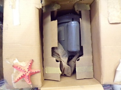 NEW General Electric KCP 43 PG 29 9/70 60Hz Motor *FREE SHIPPING* | eBay