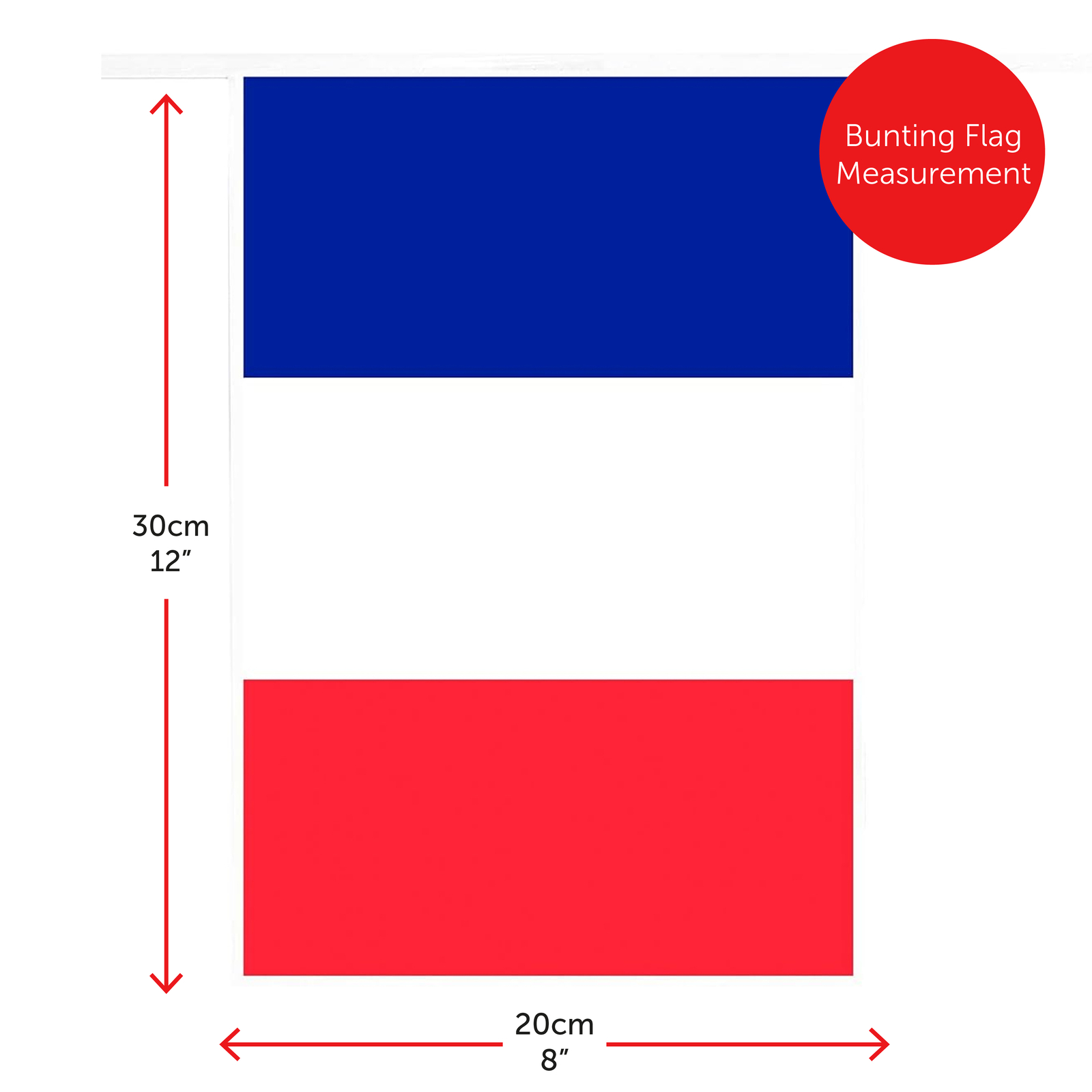 HUGE 400FT FRENCH BUNTING LARGE FRANCE FLAG DECORATION 120 METRES ...