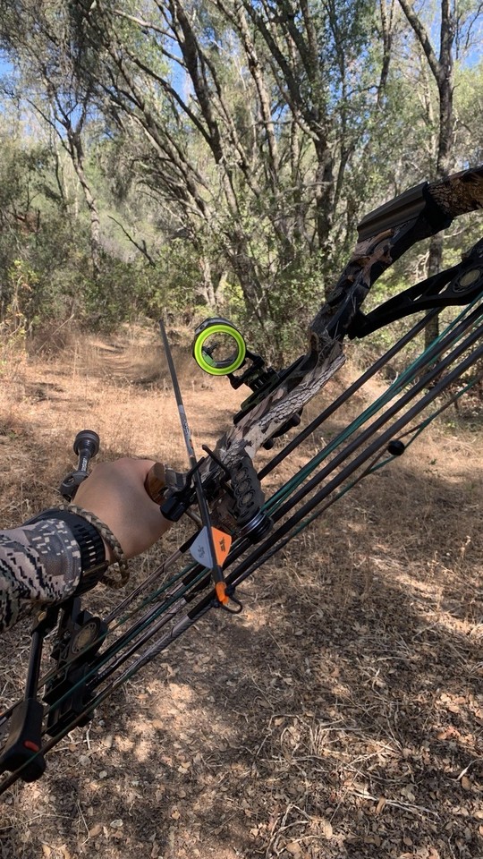 Spot Hogg Fast Eddie Triple Stack Bow Sight with Sight Tapes | eBay