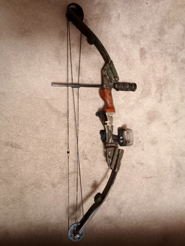 Vintage Matthew Solo Cam Ultra Light Bow with Savage Pendulum Sight | eBay