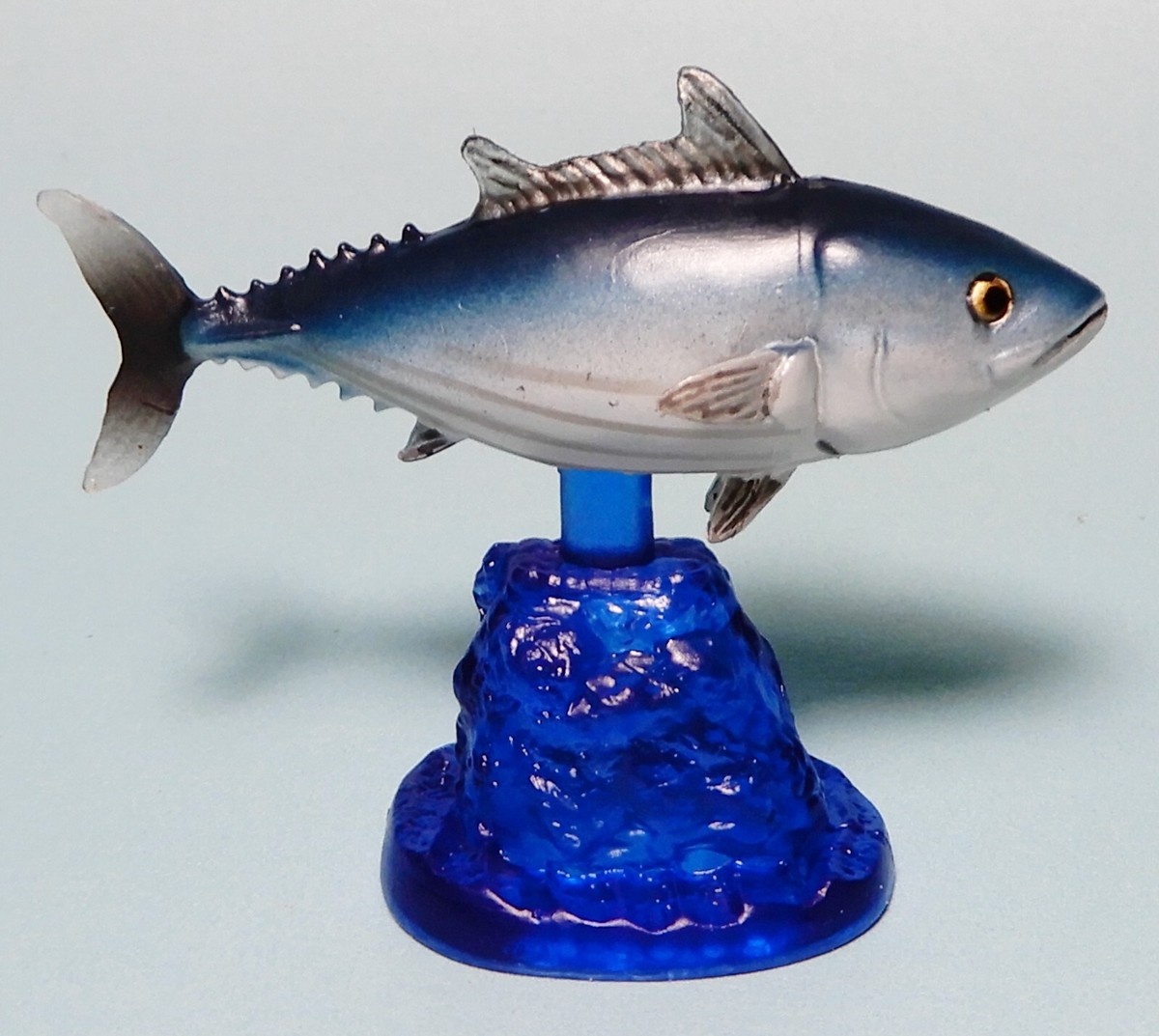 Skipjack Fish