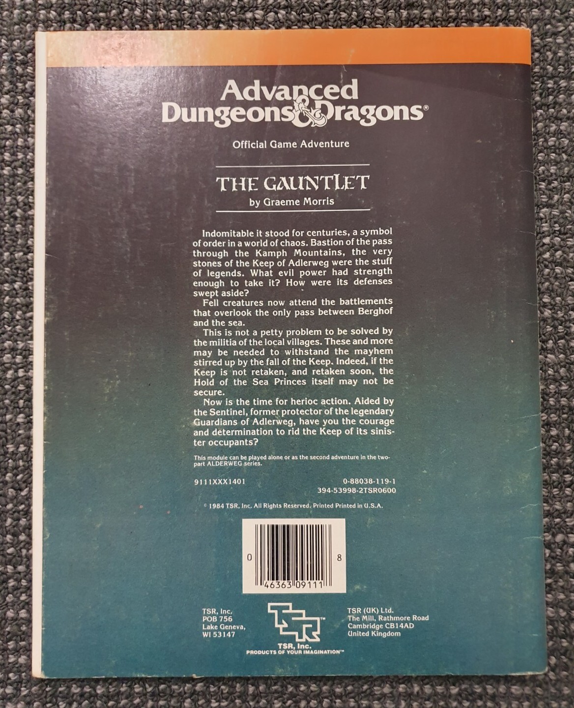 🔶️TSR 1984 ADVANCED DUNGEONS & DRAGONS THE GAUNTLET D&D RETRO VINTAGE ...