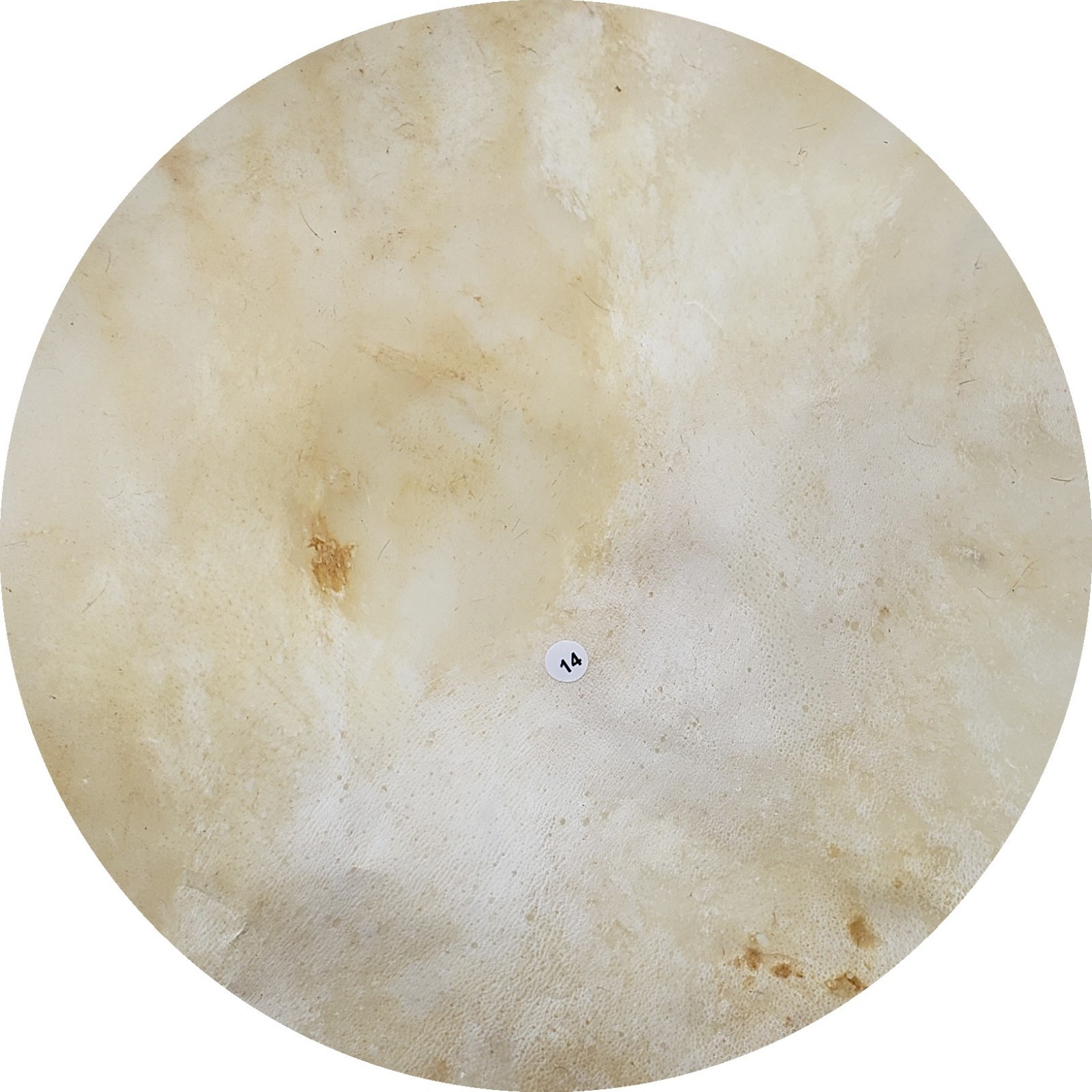 Banjo Snare Marching Dejembe Bodhran Frame Hand Drum 18" ROUND NATURAL ...