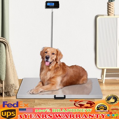 Large Livestock Vet scale Hog Scale Dog Scale Sheep Scale Goat Scale ...