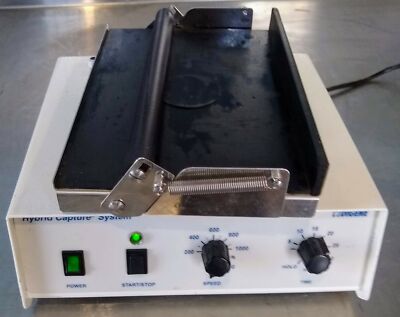 Shakers - Rocker Model