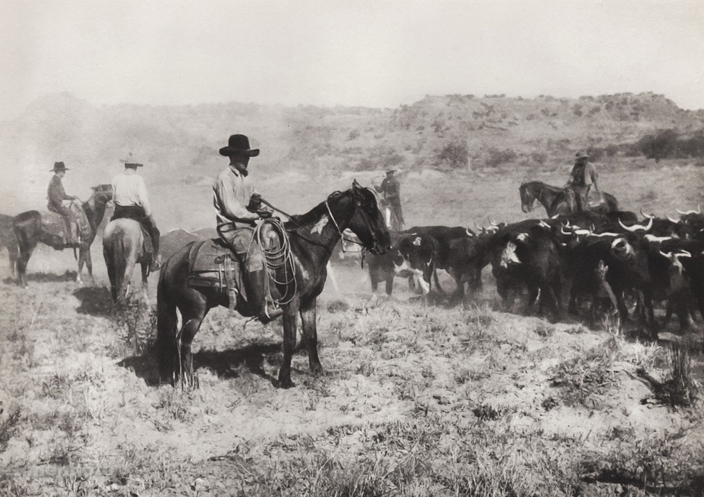 1908/52 Vintage ERWIN E. SMITH Cowboy Horses Western Cow Cattle Photo ...