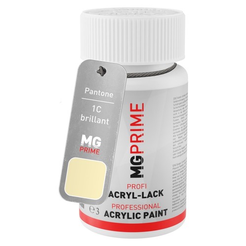 Pantone 1C Warm Grey brillant stylo retouche 50ml à séchage rapide ...