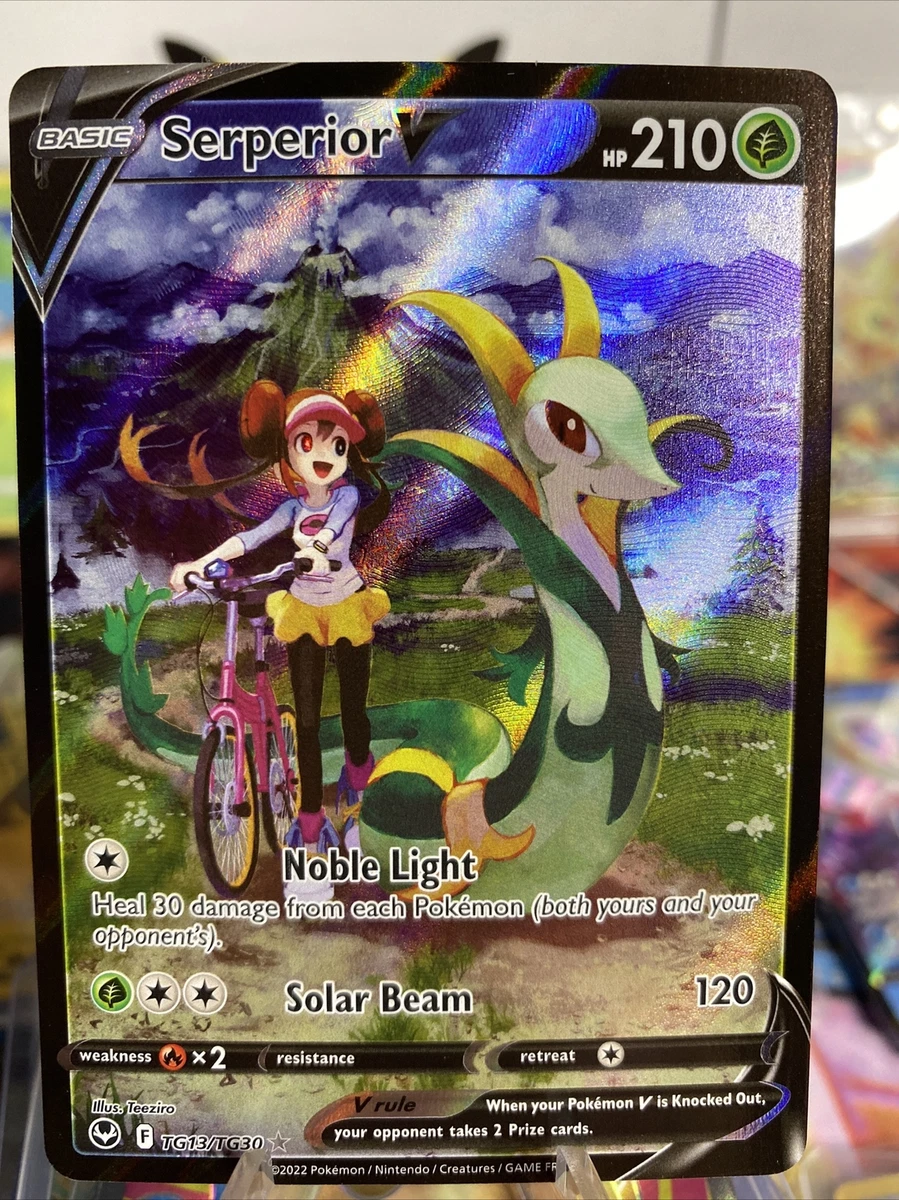 Serperior And Trainer