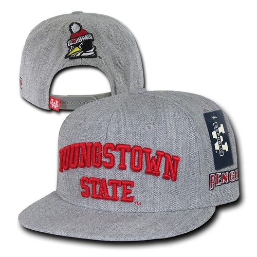 Youngstown State University YSU Penguins NCAA Flat Snapback Baseball ...