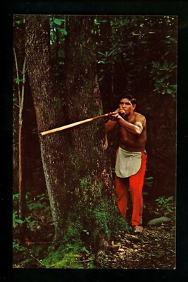 Native Americana postcard Cherokee Indians, North Carolina Oconaliftee ...
