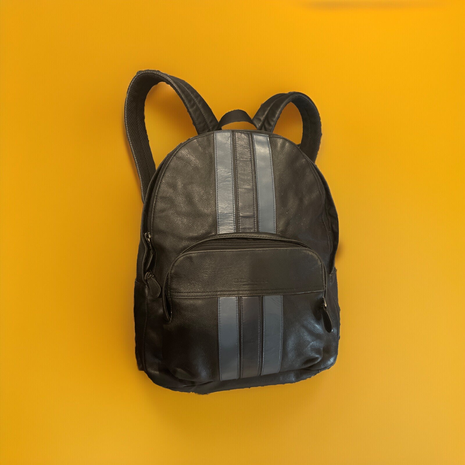 Coach Houston Backpack With Varsity Stripe - Gem