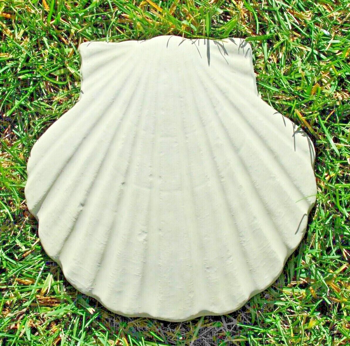 Clam Shell Stepping Stones Amazon.com: GIANT 22" CLAM SHELL Tridacna