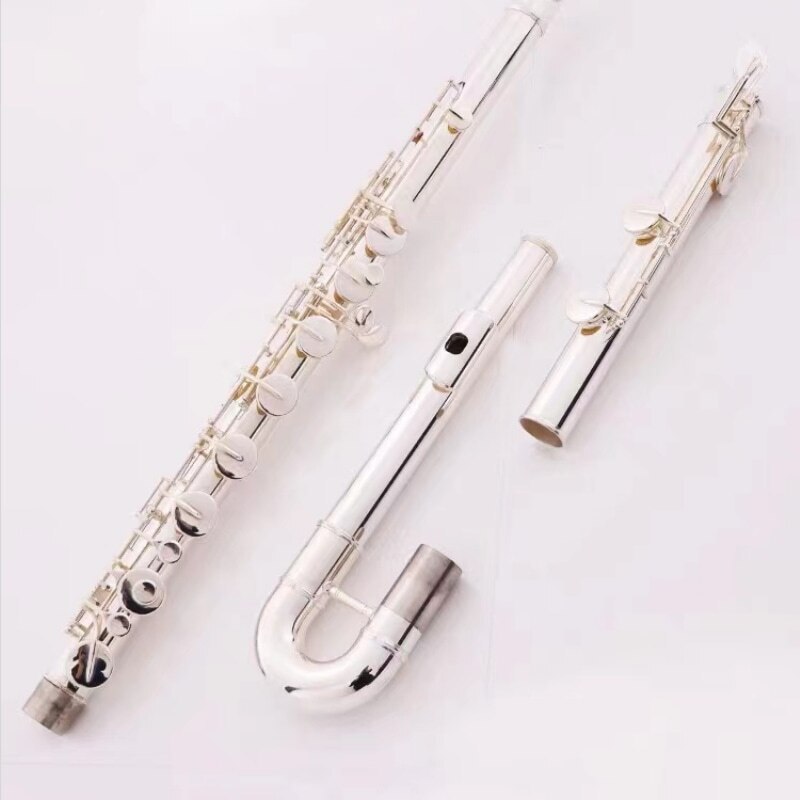 C Key Off Set G Italian Pads With Case Professional Silver Plated Bass ...